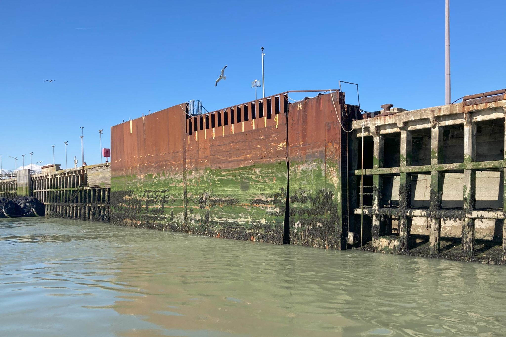 Newhaven Port - Beckett Rankine